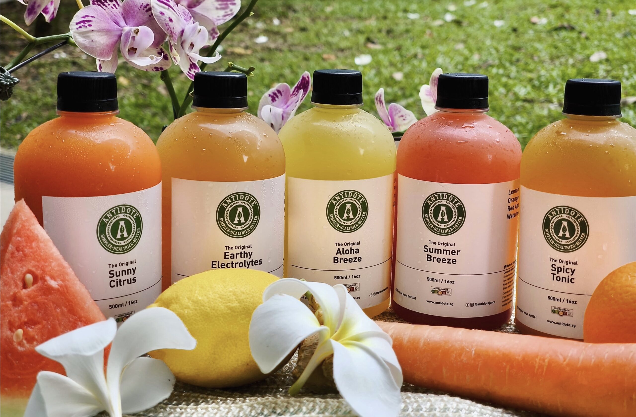 "The Original" Juice Pack | Antidote Juice